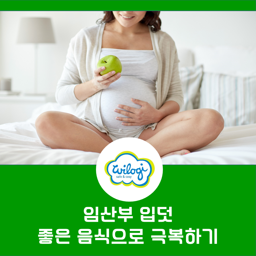 임신초기 입덧 음식으로 극복해보아요 입덧에 좋은음식 알아보기 네이버 블로그